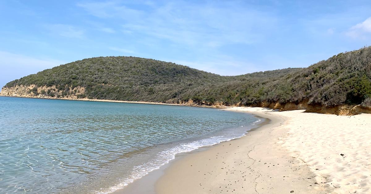 Cala Violina torna a numero chiuso: in spiaggia solo su prenotazione e ...