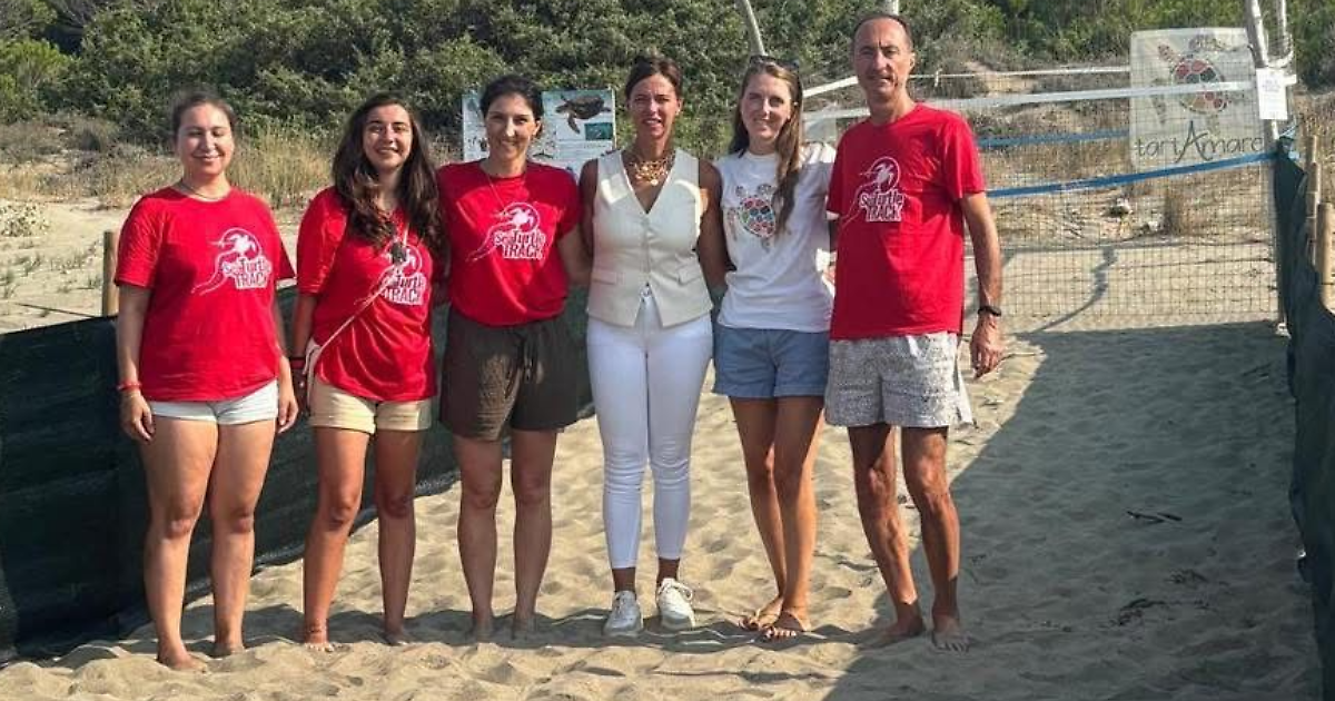 La spiaggia delle Marze si prepara per la schiusa del primo nido di ...