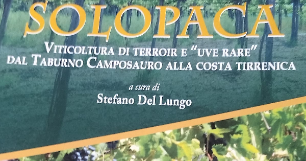 Grosseto, Festambiente: il vino di Solopaca, dimenticato per oltre ...